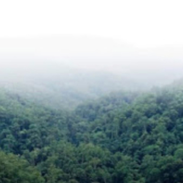 Luxurious Viscose Filament Yarn Manufacturer in India | Raysil