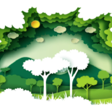 Luxurious Viscose Filament Yarn Manufacturer in India | Raysil