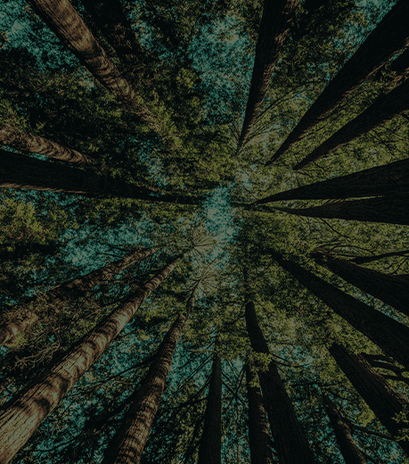 Luxurious Viscose Filament Yarn Manufacturer in India | Raysil