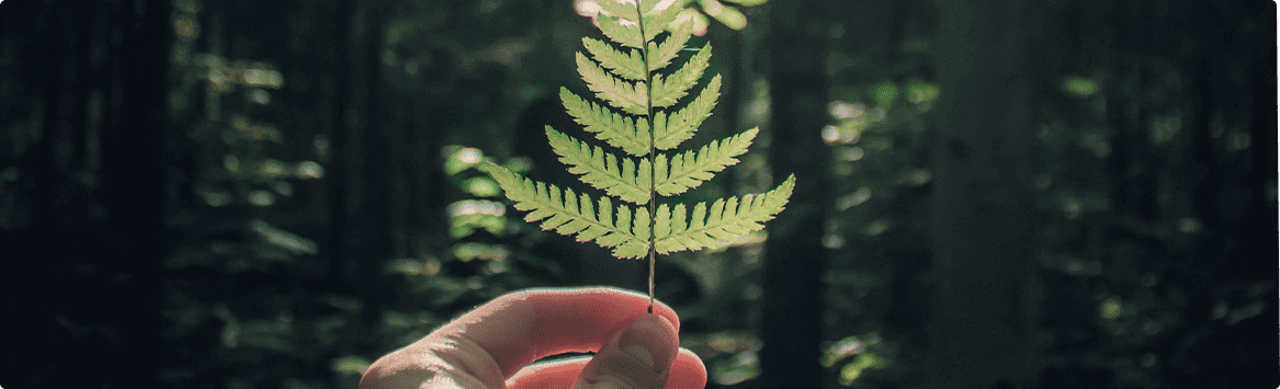 Explore our sustainable fabrics and yarns | Raysil India